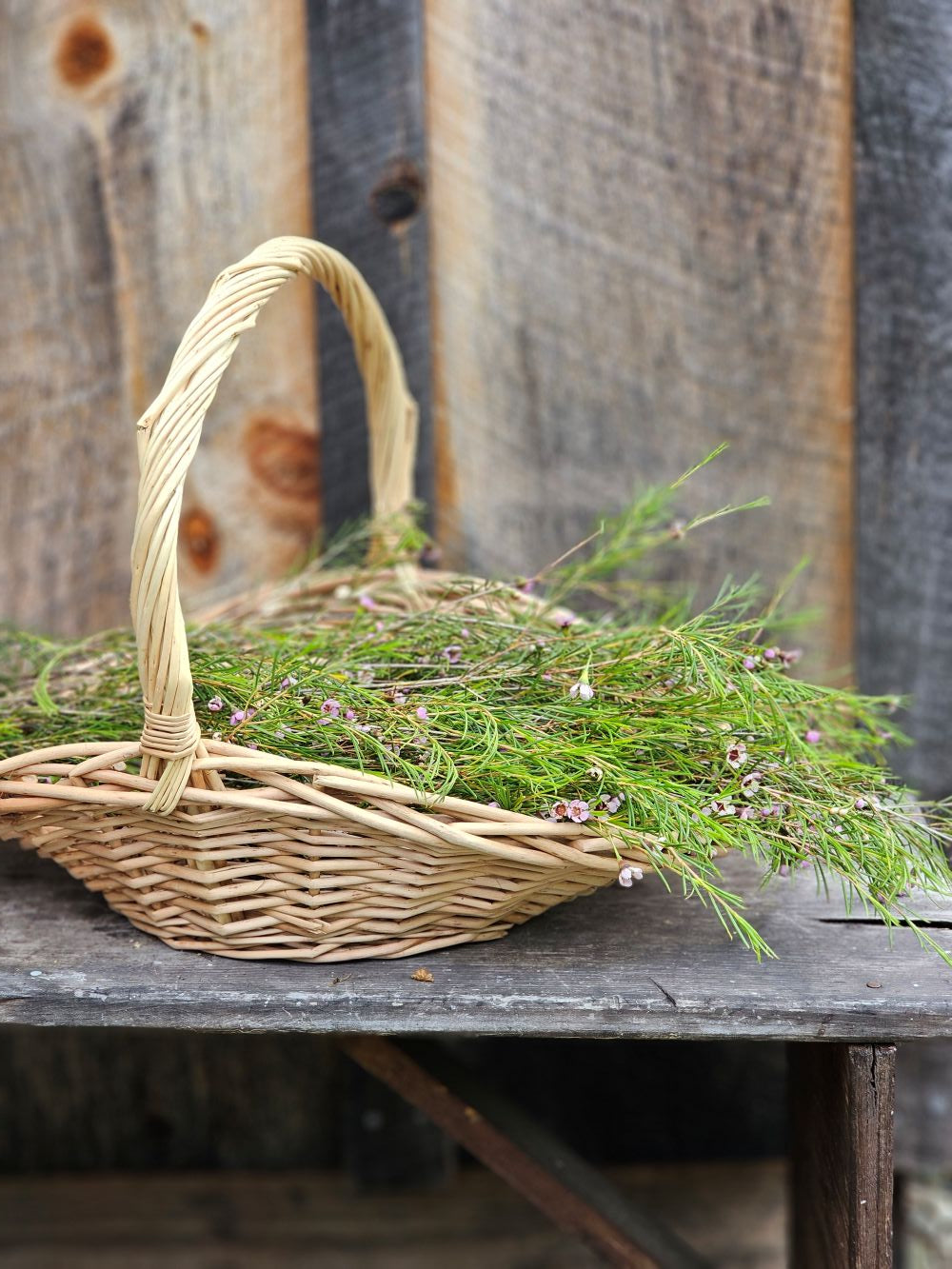 Willow Gathering Baskets, Set of Two - Farmhouse Wares